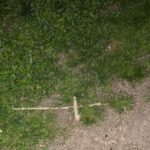 St. Augustine: Devil's Hour Paranormal Investigation Tour - Who Will Love This Tour?