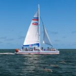 St. Augustine: Dolphin Watching Harbor Tour with Drinks - Practical Aspects and Value