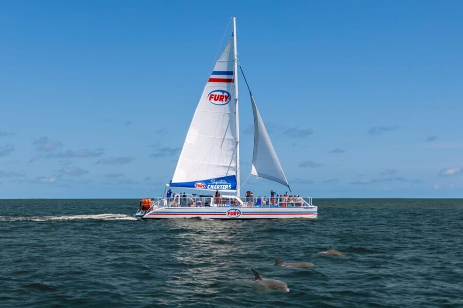 St. Augustine: Dolphin Watching Harbor Tour with Drinks - Practical Aspects and Value