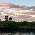 St. Augustine: Sunset Boat Tour with Dolphin Spotting - What Could Be Better?