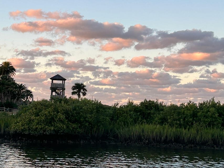 St. Augustine: Sunset Boat Tour with Dolphin Spotting - What Could Be Better?