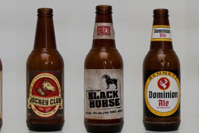 St. John's Local Pub Tour & History Lesson - What You Can Expect from the Tour
