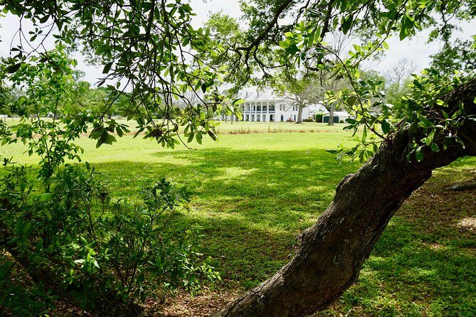 St. Joseph Plantation Tour - Who Will Love This Tour?