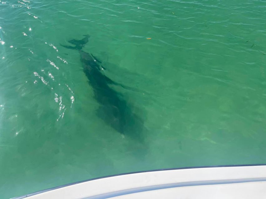 St. Petersburg, FL: 4-Hour Private Beach Tour - Why This Tour Is a Great Value