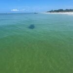 St. Petersburg, FL: Private 5-Hour Egmont Key Boat Tour - Who Will Love This Tour?