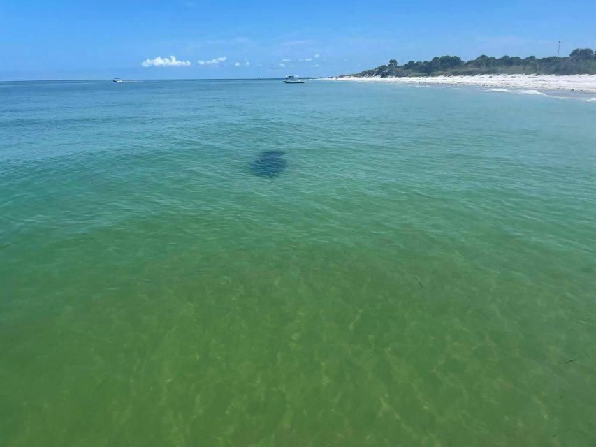 St. Petersburg, FL: Private 5-Hour Egmont Key Boat Tour - Who Will Love This Tour?