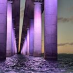 St. Petersburg, FL: Sunset & Skyway Bridge Lights Tour - Authentic Feedback from Travelers