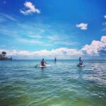 St. Petersburg: Paddle Board Tour with Wildlife Spotting - What You Can Expect