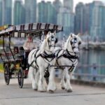 Stanley Park Horse-Drawn Tour - Who Will Love This Tour?