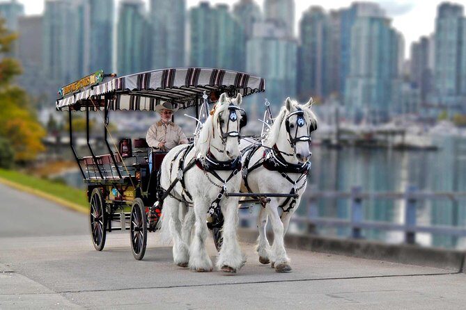 Stanley Park Horse-Drawn Tour - Who Will Love This Tour?