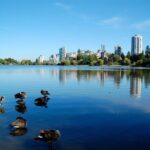 Stanley Park Self Guided Walking Tour - Why This Tour Works Well