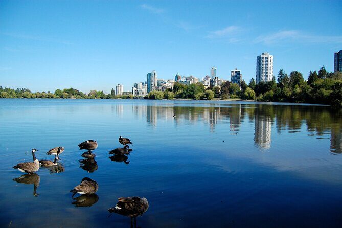 Stanley Park Self Guided Walking Tour - Why This Tour Works Well