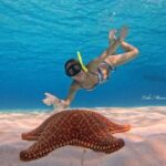 Star and Turtle Sanctuary Snorkeling Tour in Cozumel - Potential Drawbacks and Considerations