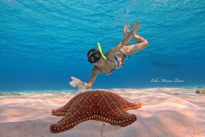 Star and Turtle Sanctuary Snorkeling Tour in Cozumel - Potential Drawbacks and Considerations