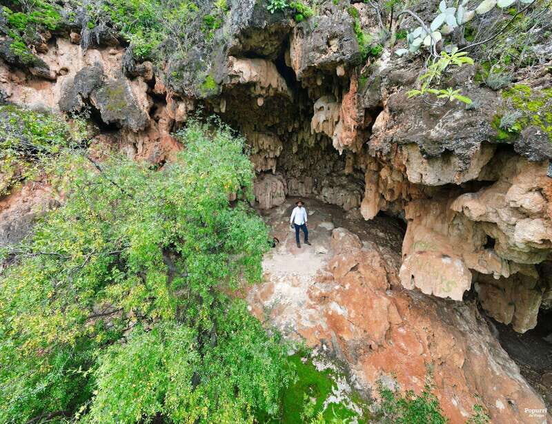 Steer route: Tour of the ruins and tasting in Mazatan - The Value of This Tour