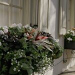 Stroll Historic South of Broad in Charlestons Walled City - Itinerary Breakdown