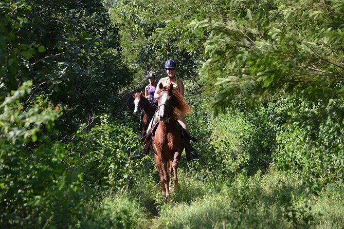 STROLL the Jungle Trails on a HORSE. Includes Transportation and Equipment. - What Travelers Say