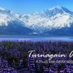 Stunning Turnagain Arm Tour: "A Must See Destination" - Authentic Experiences Highlighted by Travelers
