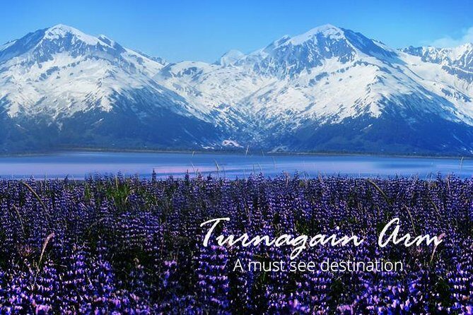 Stunning Turnagain Arm Tour: "A Must See Destination" - Authentic Experiences Highlighted by Travelers