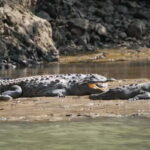 Sumidero Canyon & Chiapa de Corzo: Day Tour from Tuxtla - Who Would Love This Tour?