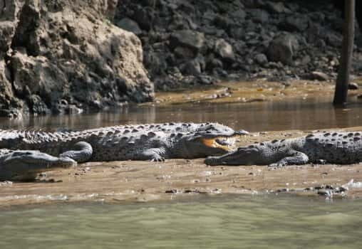 Sumidero Canyon & Chiapa de Corzo: Day Tour from Tuxtla - Who Would Love This Tour?