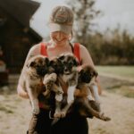 Summer Kennel Visit at Historic Trail Breaker Kennel - The Sum Up: Who Should Consider This Tour?