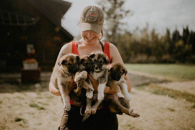 Summer Kennel Visit at Historic Trail Breaker Kennel - The Sum Up: Who Should Consider This Tour?