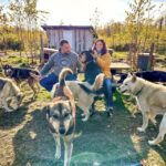 Summer Sled Dog Kennel Tour - The Sum Up: Who Is This Tour For?