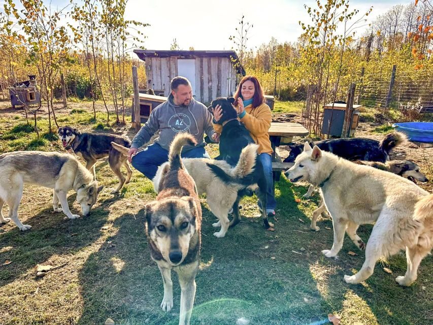Summer Sled Dog Kennel Tour - The Sum Up: Who Is This Tour For?