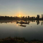 Sunrise in Xochimilco - Who Will Love This Tour?