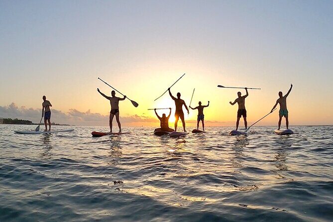 Sunrise Paddle Surf - What to Expect: From Meeting to Reflection