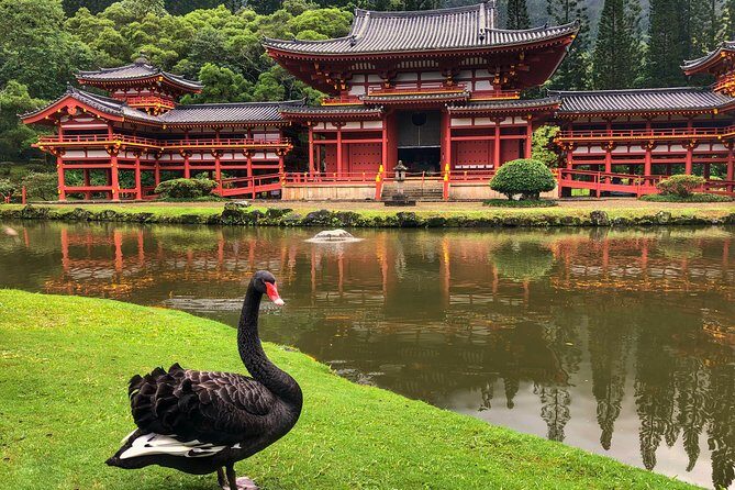 Sunrise Plus Island Tour - Who Will Love This Tour?