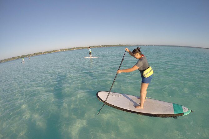 Sunrise Tour (Stand Up Paddle or Kayak) - Why This Tour Is Ideal