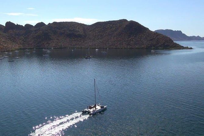 Sunset Appetizers & Open Bar Catamaran Cruise - Overall Value and Who Will Love It