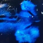 Sunset Bioluminescent Comb Jelly & Dolphin Tour - The Itinerary: How the Evening Unfolds