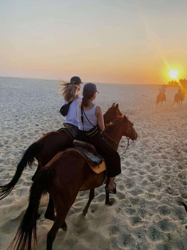 Sunset by Horse on the Beach - Horse Riding Experience