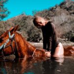 Sunset by horse (river and beach) - Who Will Love This Tour?