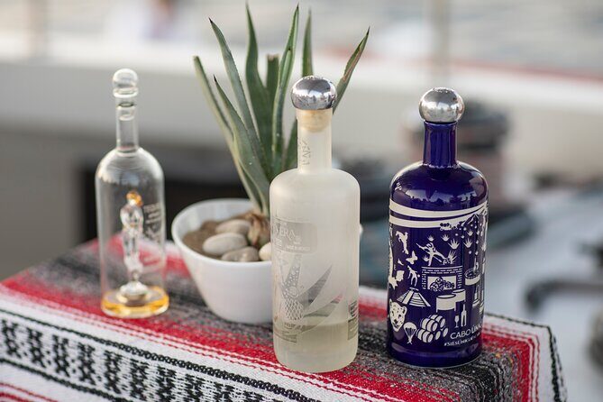 Sunset Cruise Tequila Tasting - Authentic Reviews: What Travelers Say