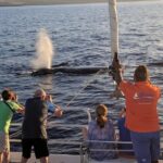 Sunset Cruise with the Whales from Anaeho'omalu Bay - The Sum Up