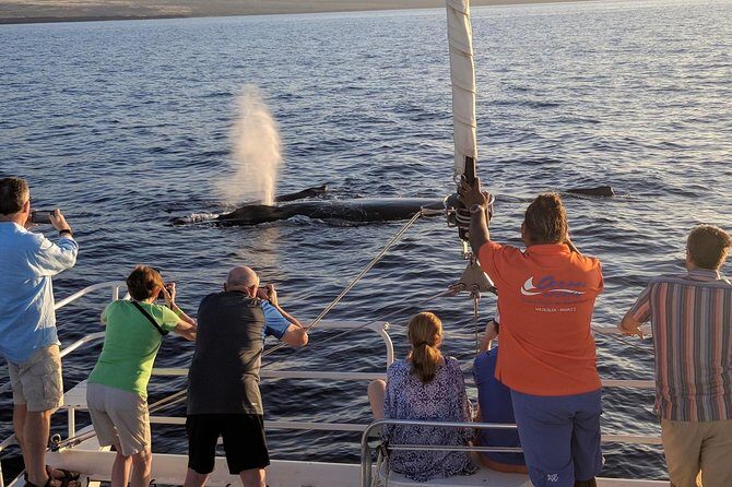 Sunset Cruise with the Whales from Anaeho'omalu Bay - The Sum Up