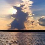 Sunset, Dolphin/Birding On A Private Guided Savannah Cruise - Why Travelers Love It