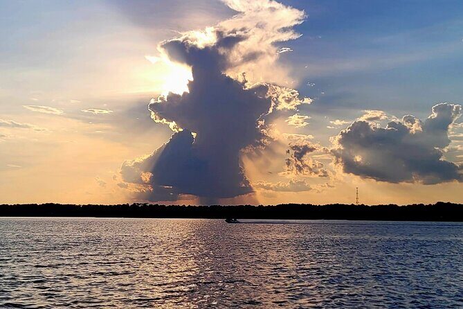 Sunset, Dolphin/Birding On A Private Guided Savannah Cruise - Why Travelers Love It