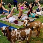 Sunset Maui Goat Yoga with Live Music - The Experience in Detail: What You’ll Actually Do