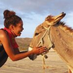 Sunset Pacific Donkey Hiking Tour - Who Will Love This Tour?