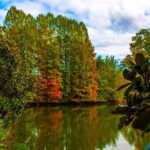 Sunset Photography Tour of Piedmont Park Atlanta - Final Thoughts