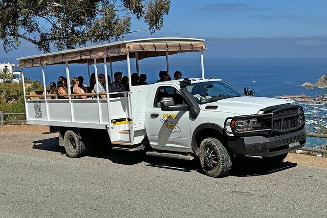 Sunset Summit Catalina Island Shared Tour - The Guide and Tour Experience