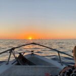 Sunset Whale Cruise in Cabo San Lucas - The Sum Up