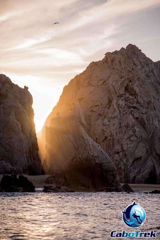 Sunset Whale Watching Cruise in Cabo San Lucas - The Itinerary Breakdown