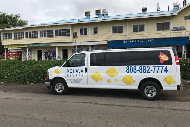 Sunset Whale Watching Shared Activity - Who Will Love This Tour?