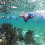 Super Combo ATV in Cancun with Zipline, Snorkel, Cenote, transfer - Authentic Traveler Perspectives